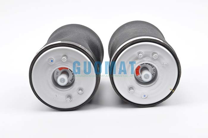 BMW X5 E53 Pneumatic Spring Air Suspension Shocks Rear Left And Right ...