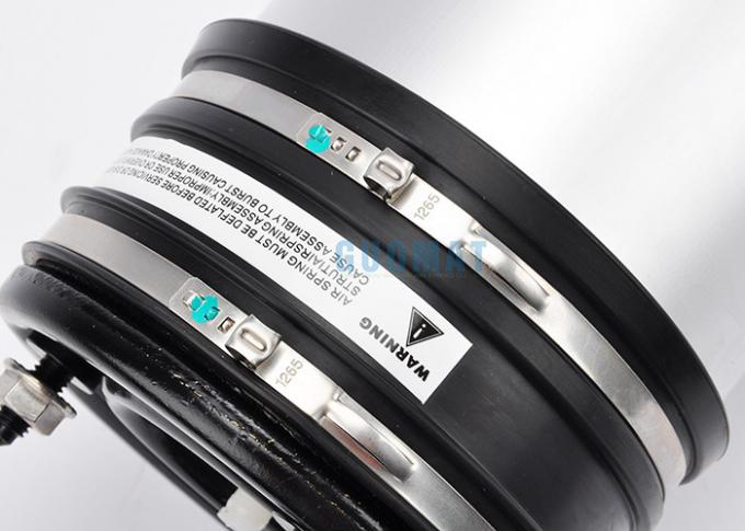 W220 Rear S-Class Mercedes Air Suspension Assembly A2203205013 for ...